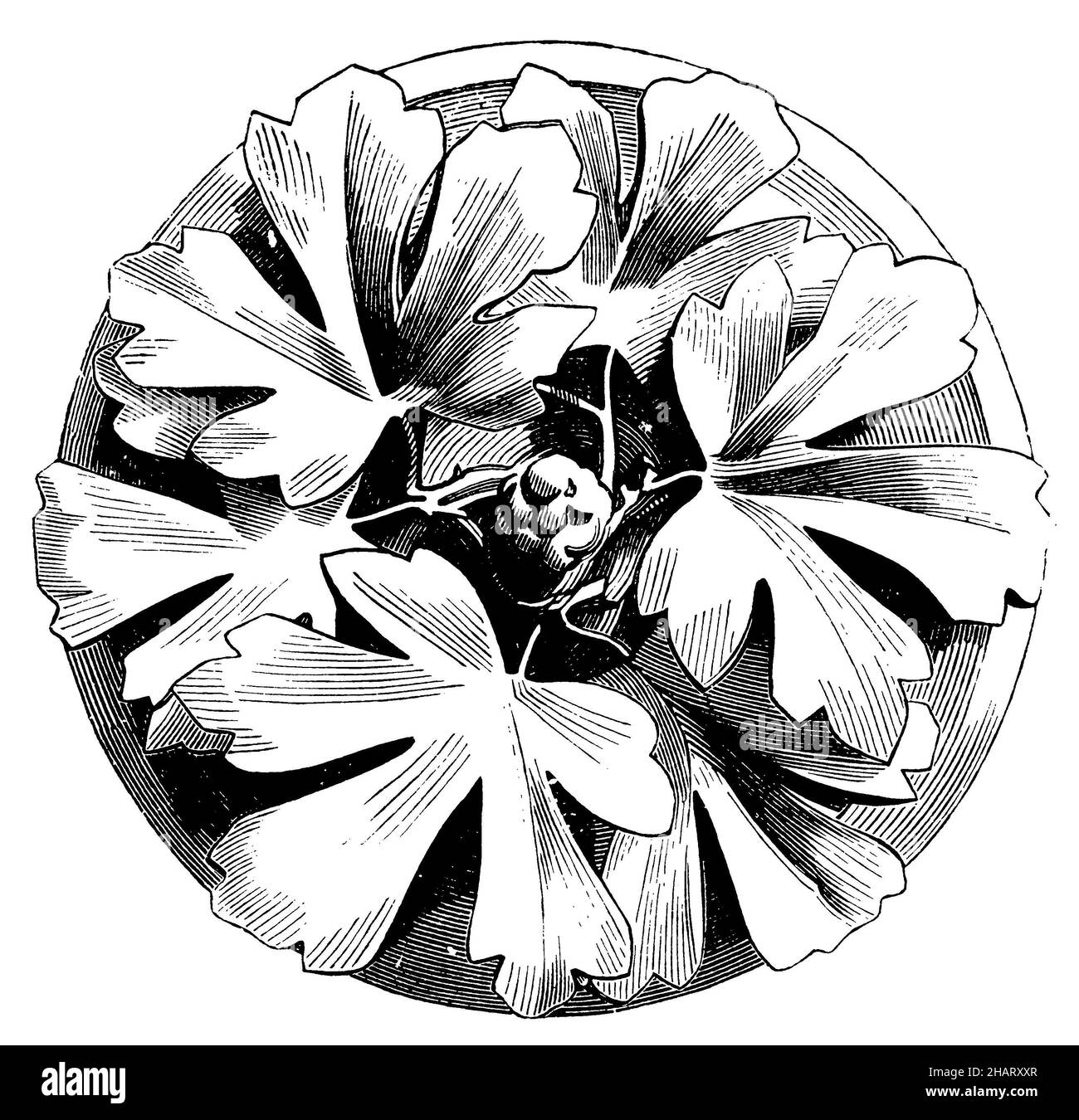 1904 ansicht Cut Out Stock Images & Pictures - Alamy