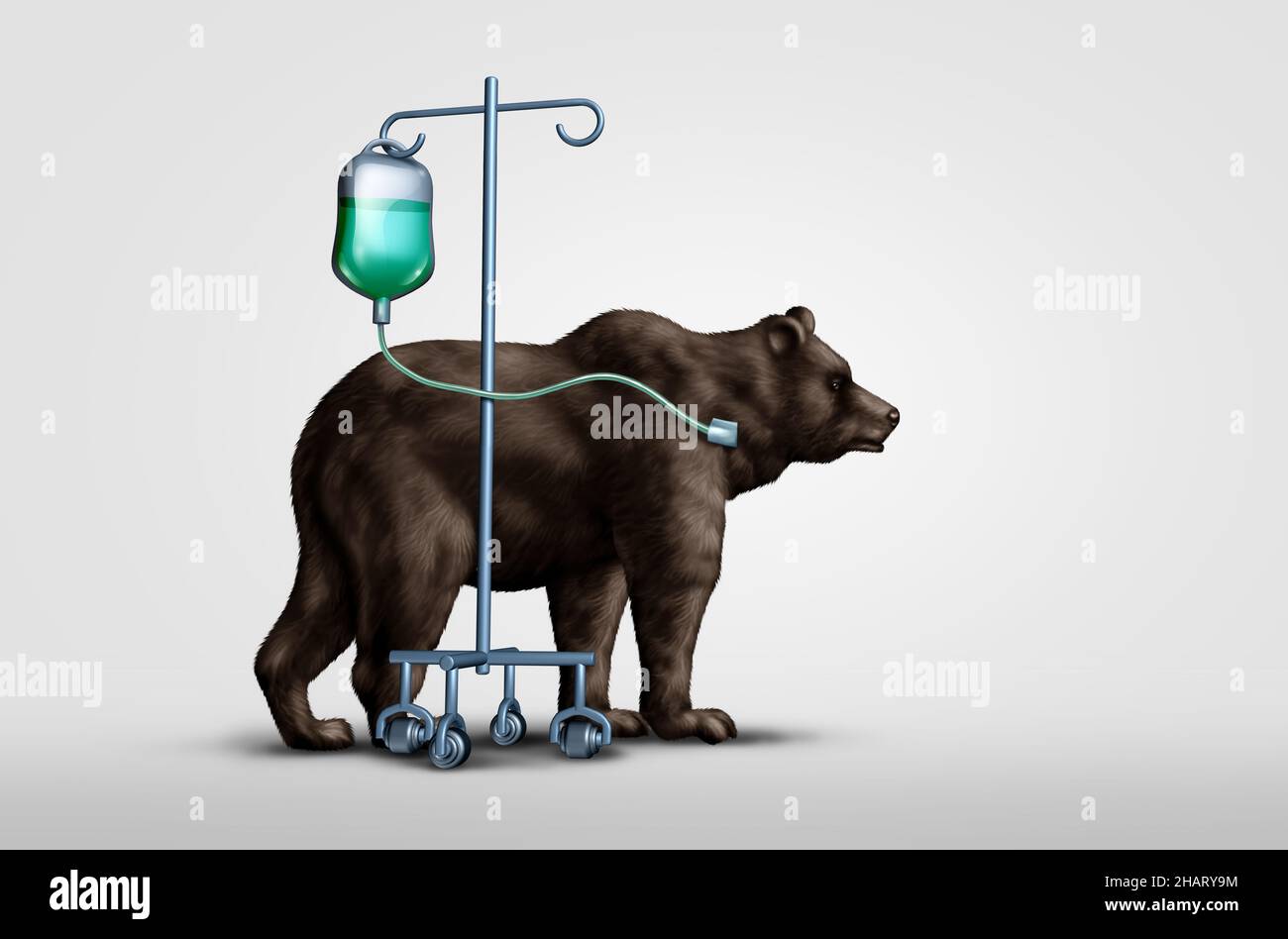 Weak Bear market on life support and Economic recovery concept as a ...