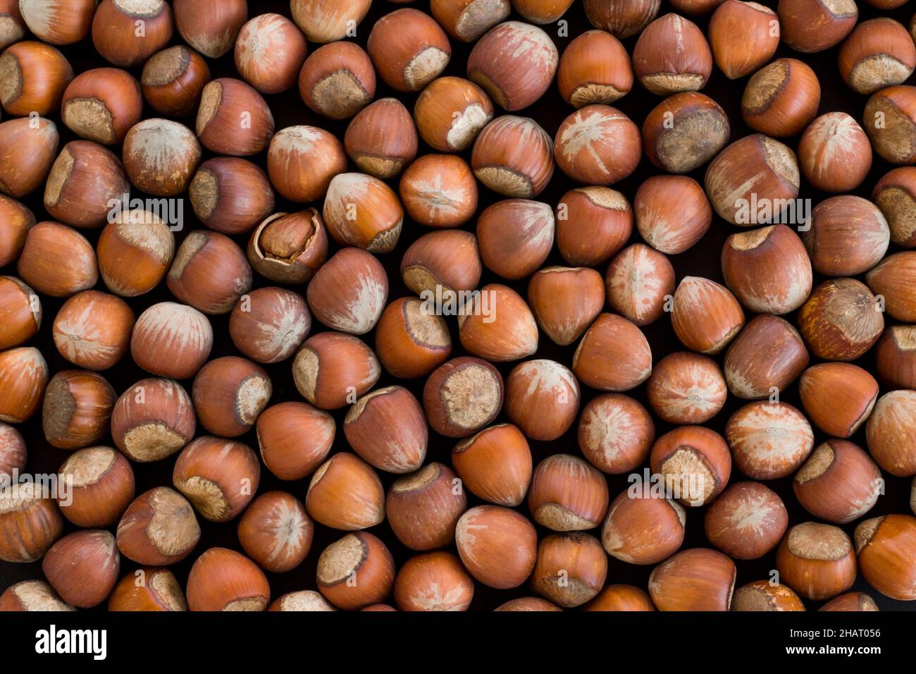 Close-up taken of Shelled Hazelnuts Background,flat layout Stock Photo ...