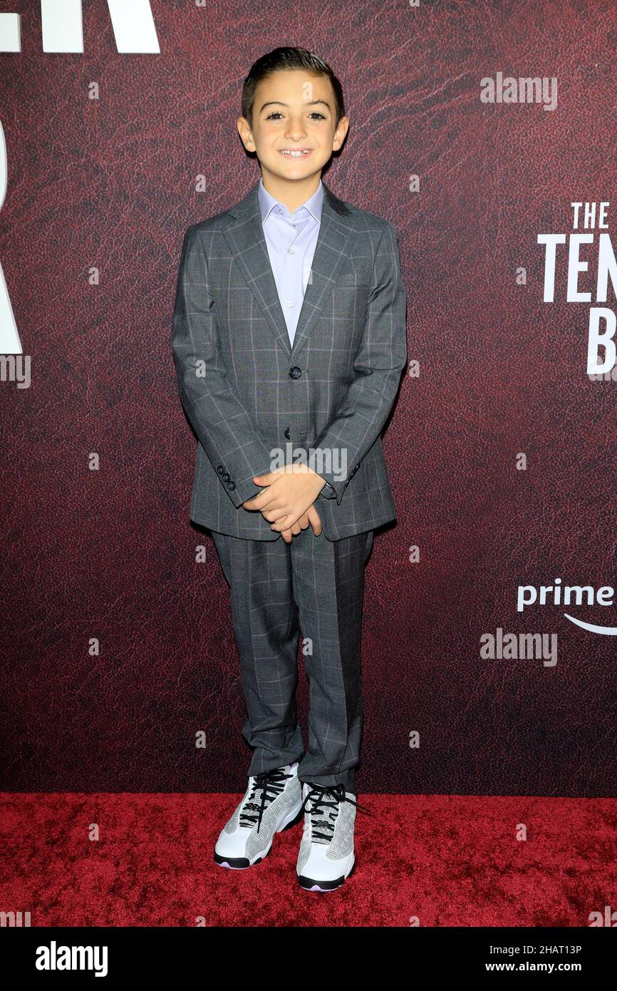 LOS ANGELES - DEC 12: Daniel Ranieri at The Tender Bar Premiere at the ...