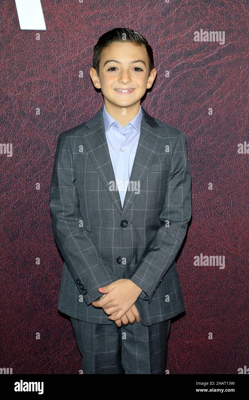 LOS ANGELES - DEC 12: Daniel Ranieri at The Tender Bar Premiere at the ...