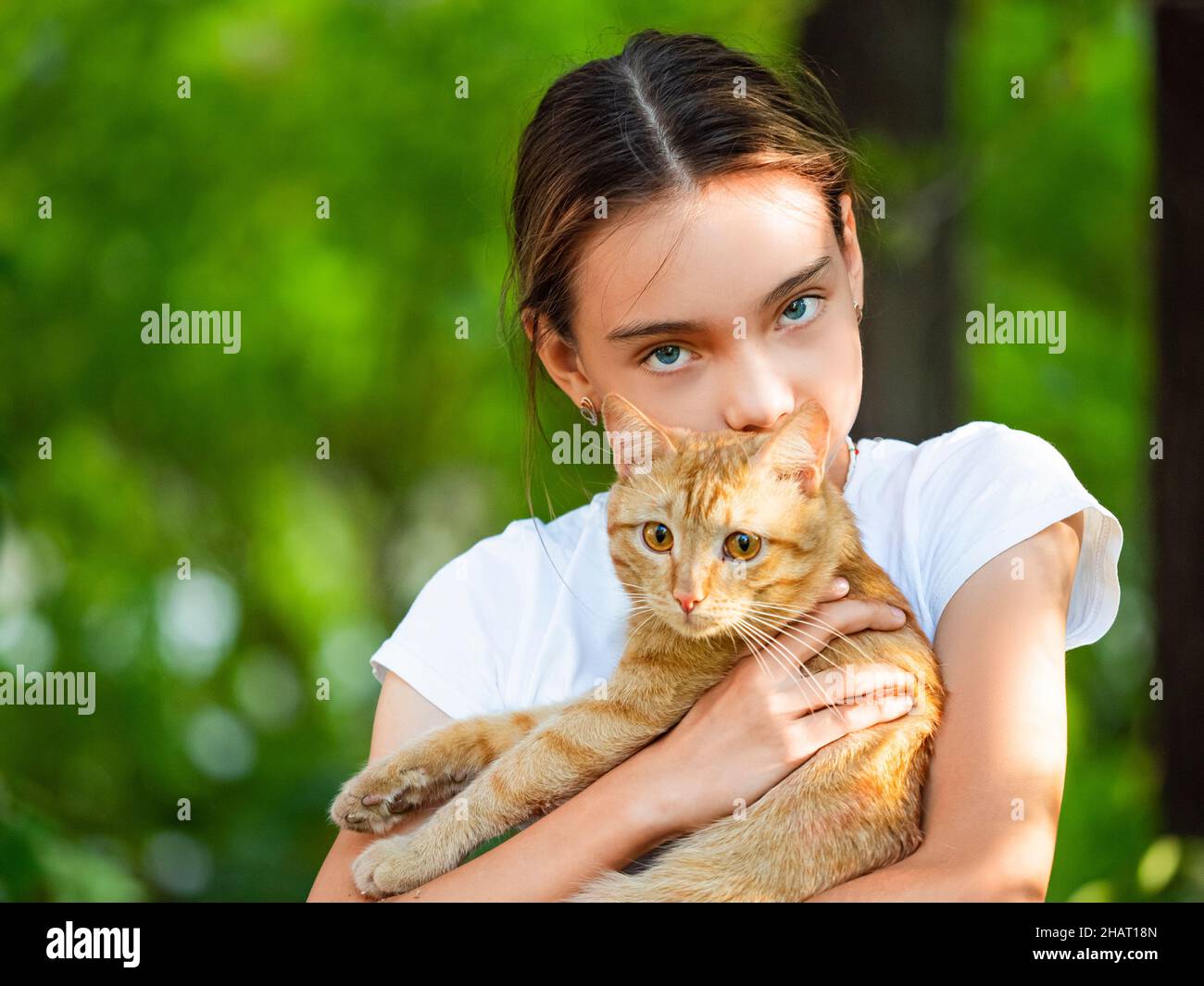 The girl is holding a ginger homeless cat in her arms. Animal care ...