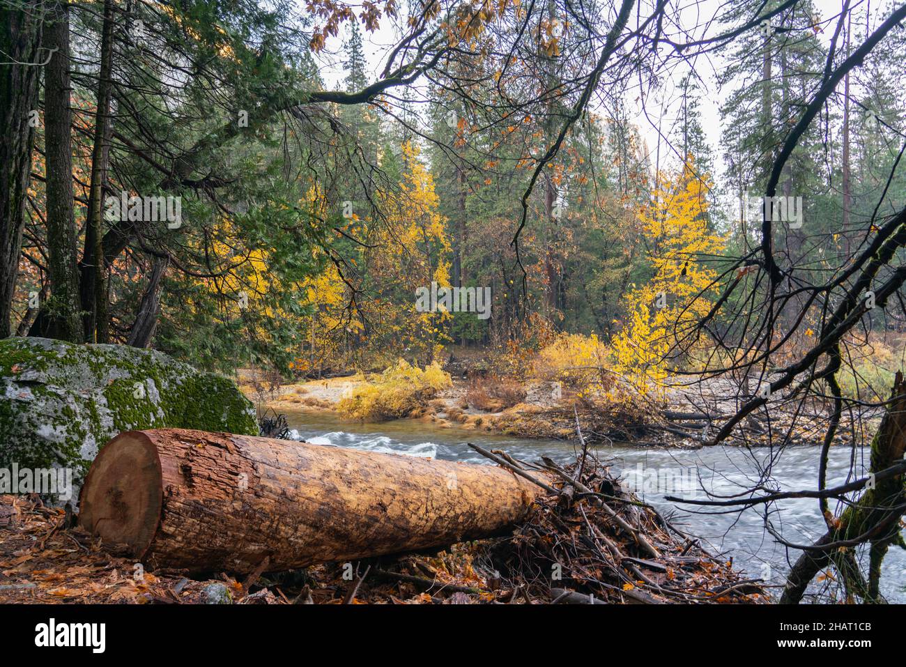 Among us cut hi-res stock photography and images - Alamy
