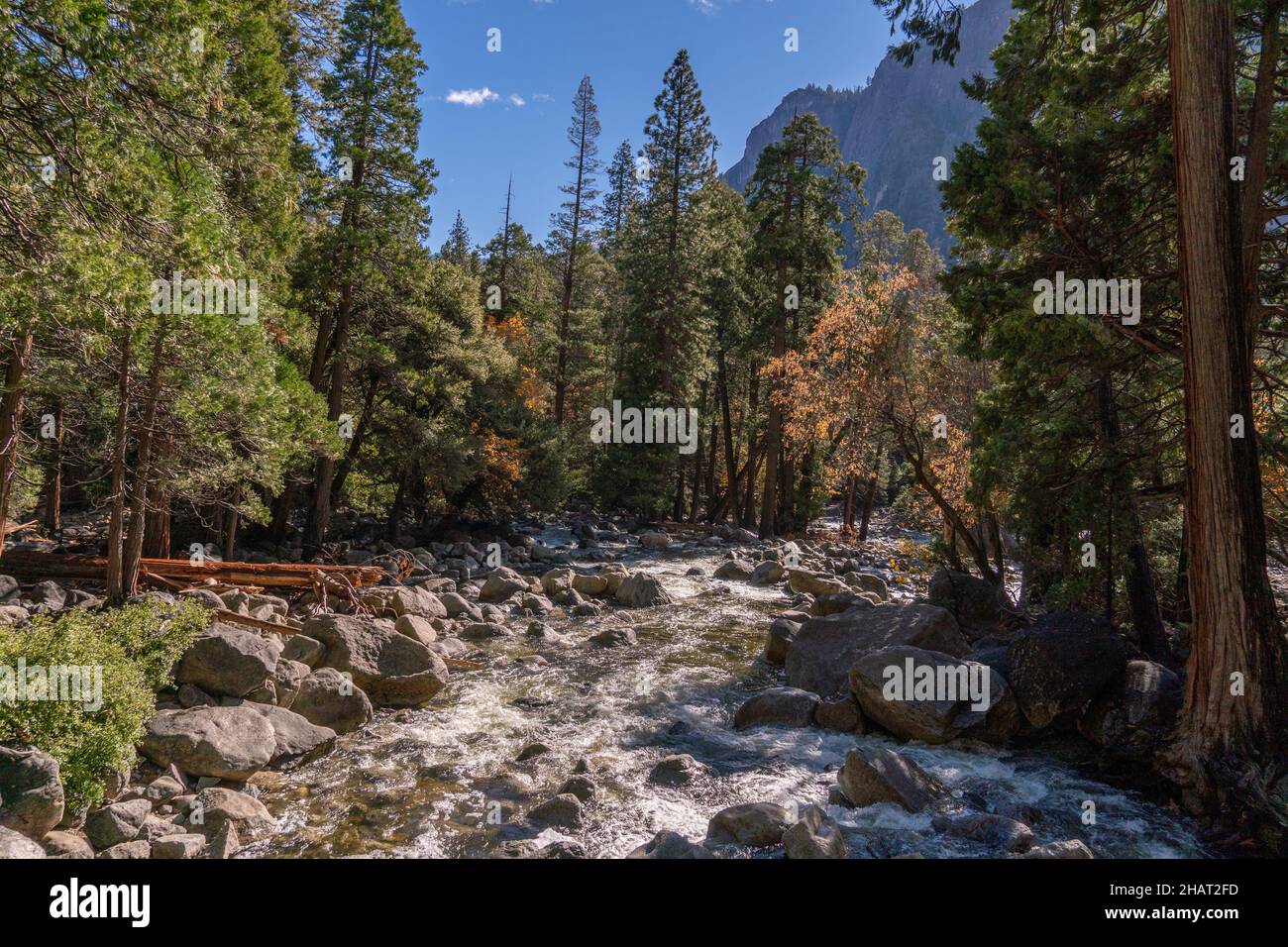 View of River Flowing Downstream Through Large Rocks and Fallen Trees ...