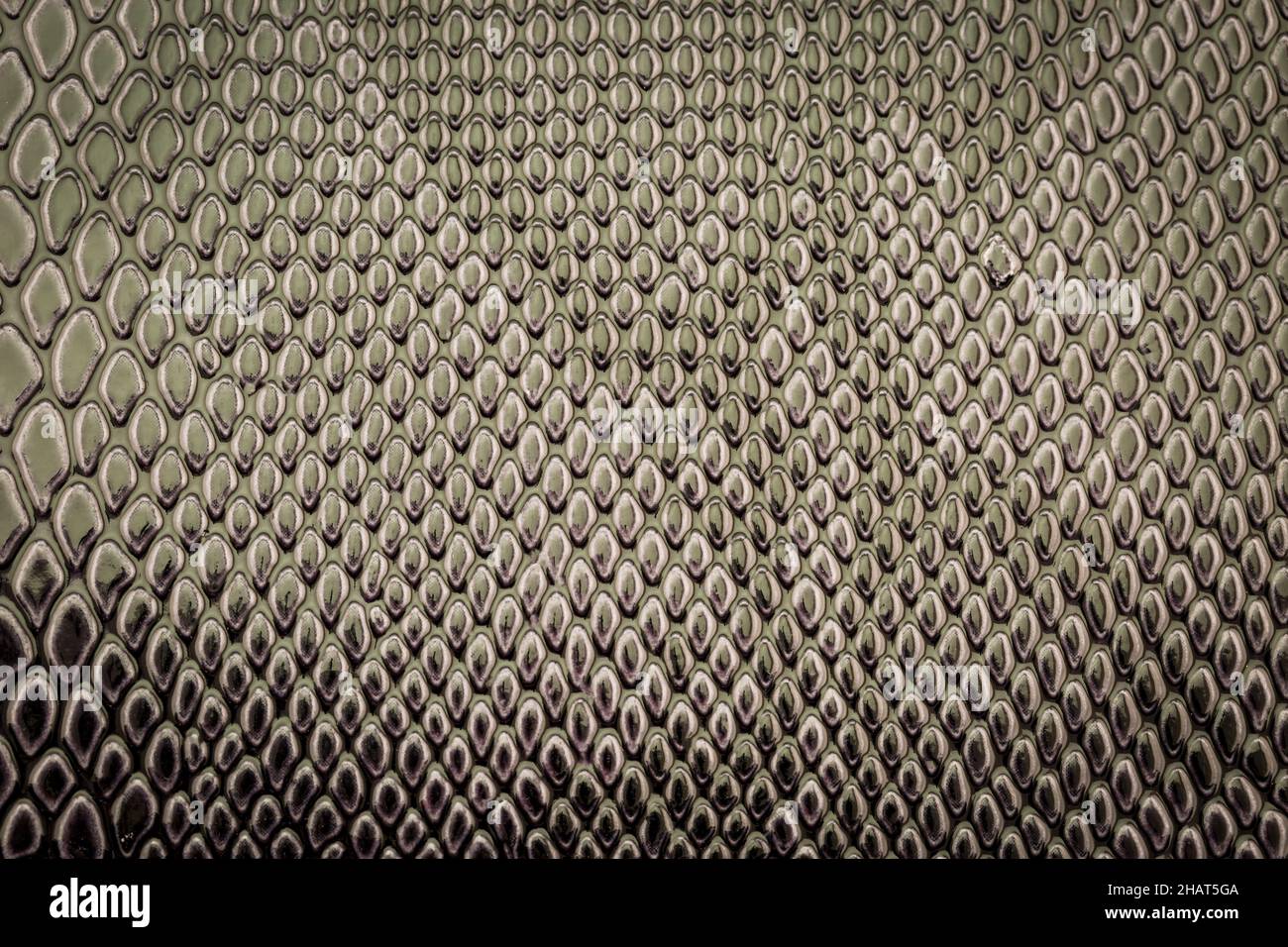 Snake skin pattern as a wallpaper Stock Photo - Alamy