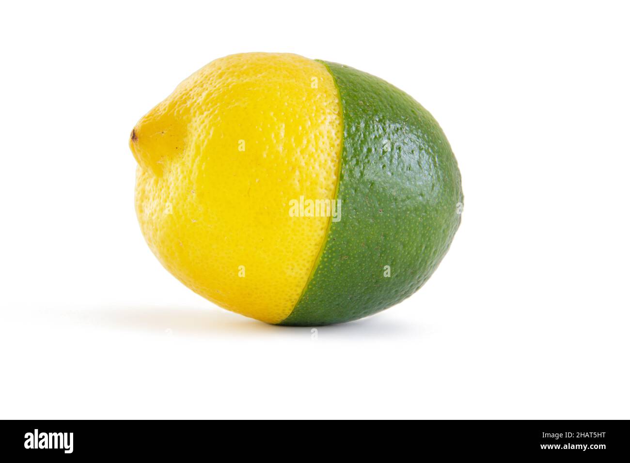 Half lemon half lime as one fruit on white background, healthy eating ...