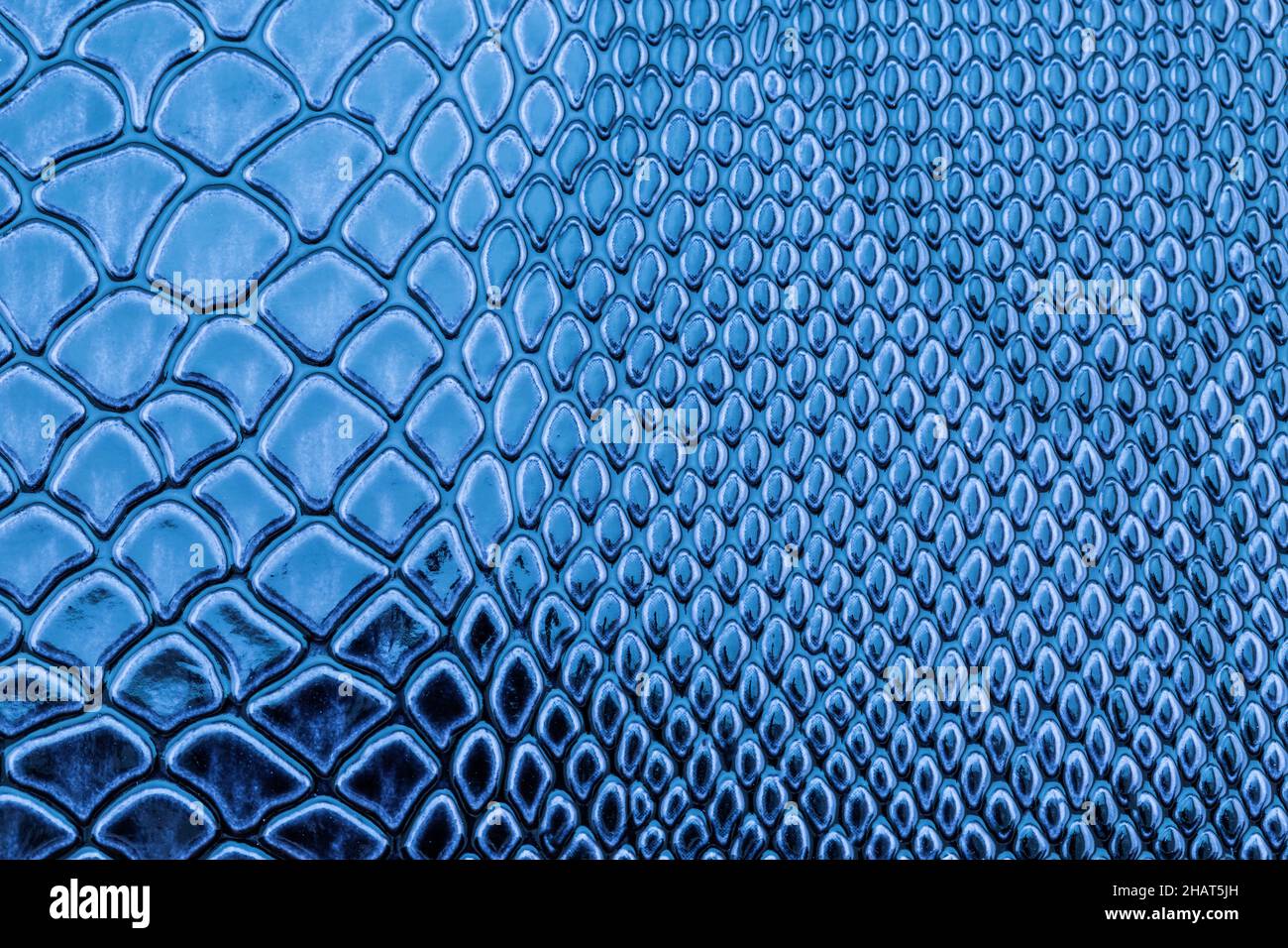 Blue exotic Snake skin pattern as a wallpaper Stock Photo - Alamy