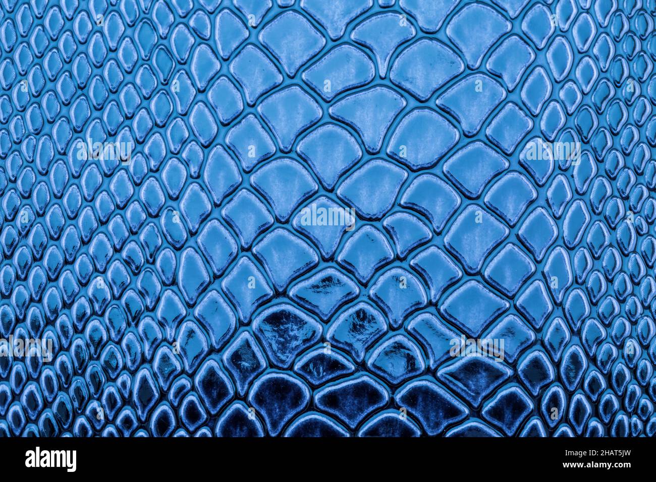 Blue exotic Snake skin pattern as a wallpaper Stock Photo - Alamy