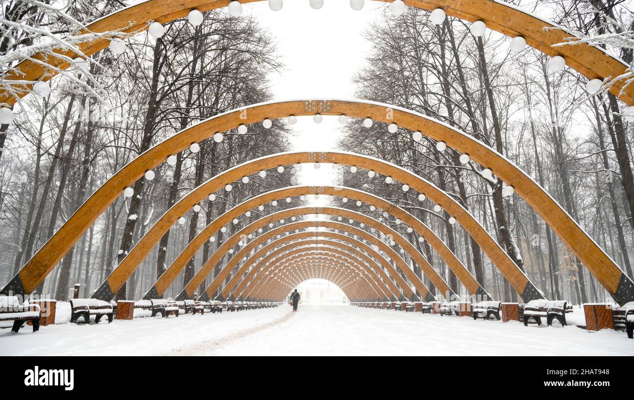 MOSCOW - DEC 07: Winter day in Sokolniki park in Moscow, December 07 ...