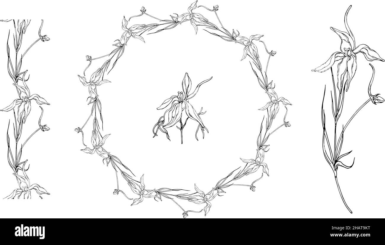 Wild flowers twig green Stock Vector Images - Alamy