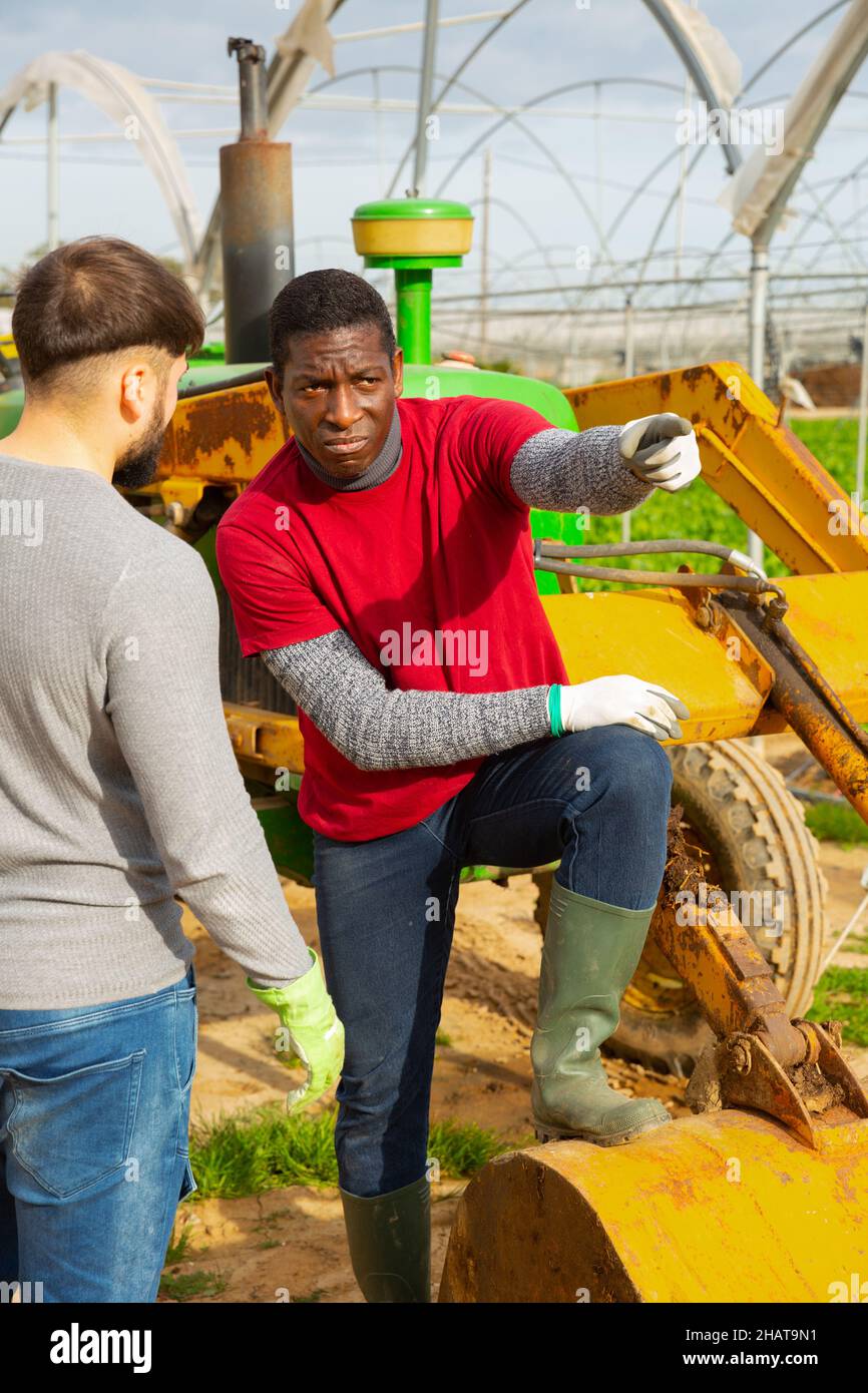 Disquieted african american gardener talking to friend Stock Photo - Alamy
