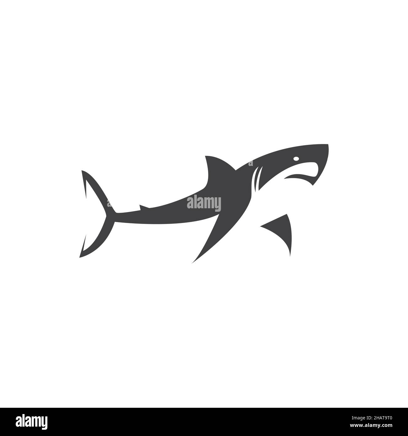 Shark Logo Design