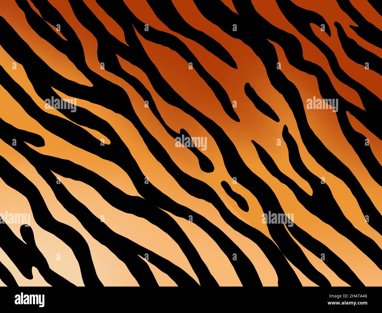 tiger skin texture background. pattern tiger orange gradation stripe ...