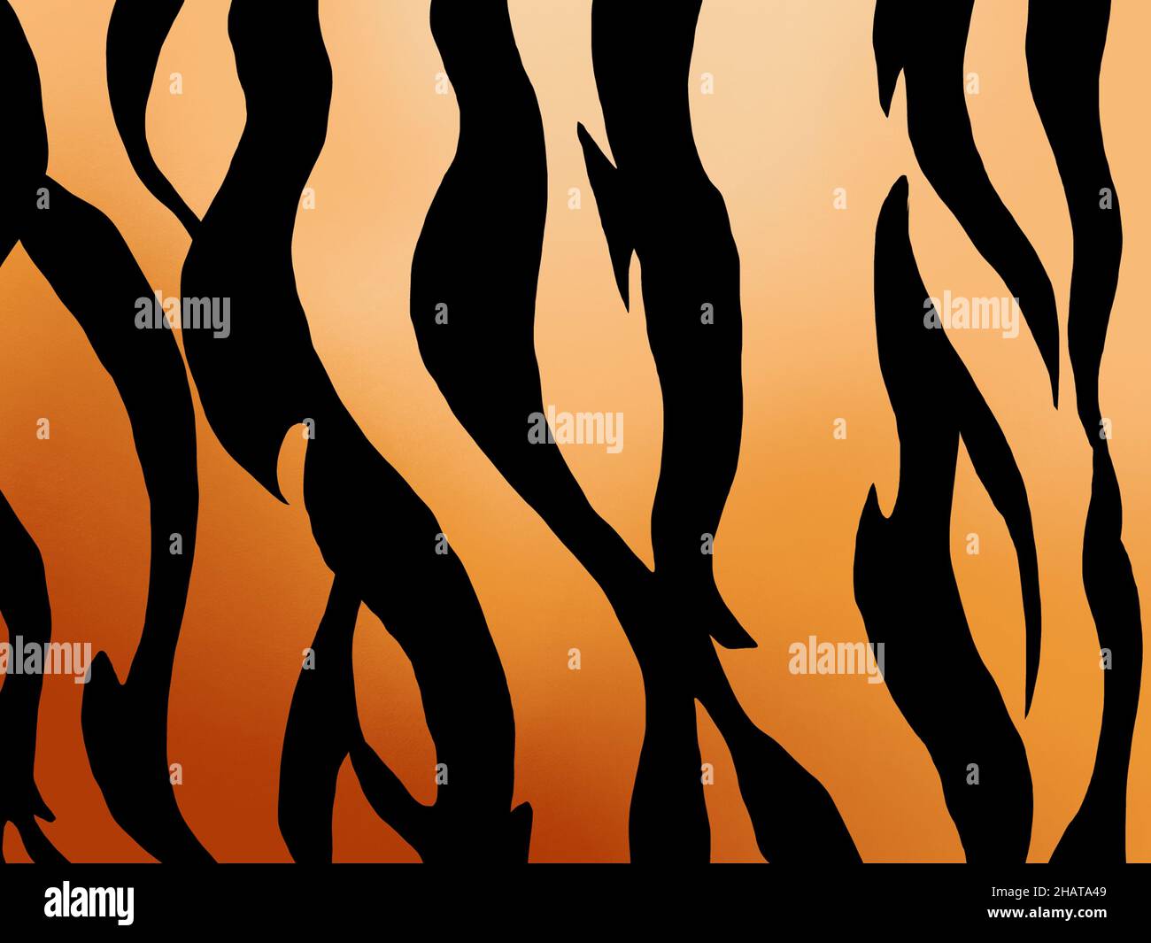 tiger skin texture background. pattern tiger orange gradation stripe ...
