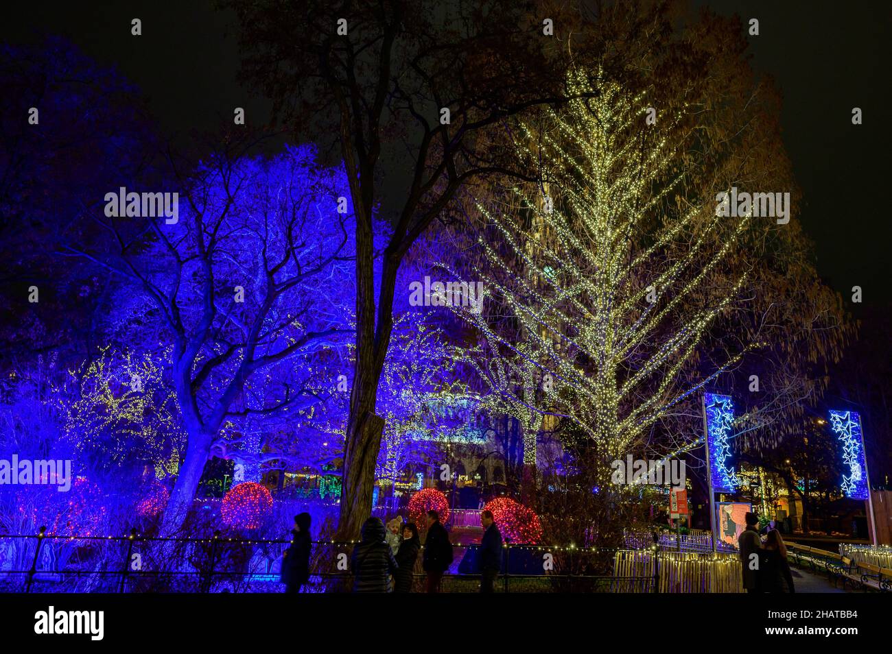 vienna, austria, 14 dez 2021, illuminated trees in the park rathauspark ...