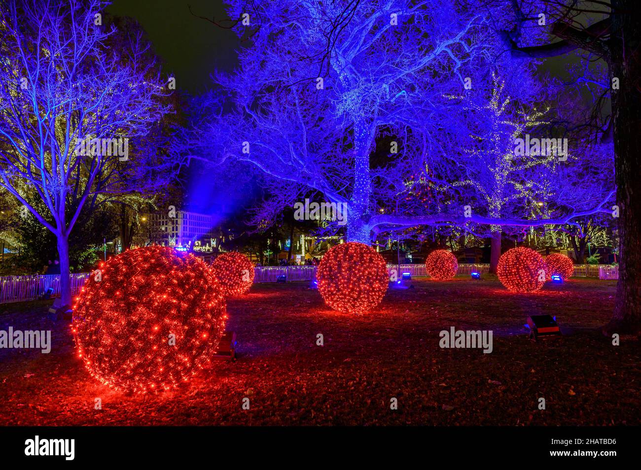 vienna, austria, 14 dez 2021, illuminated trees in the park rathauspark ...