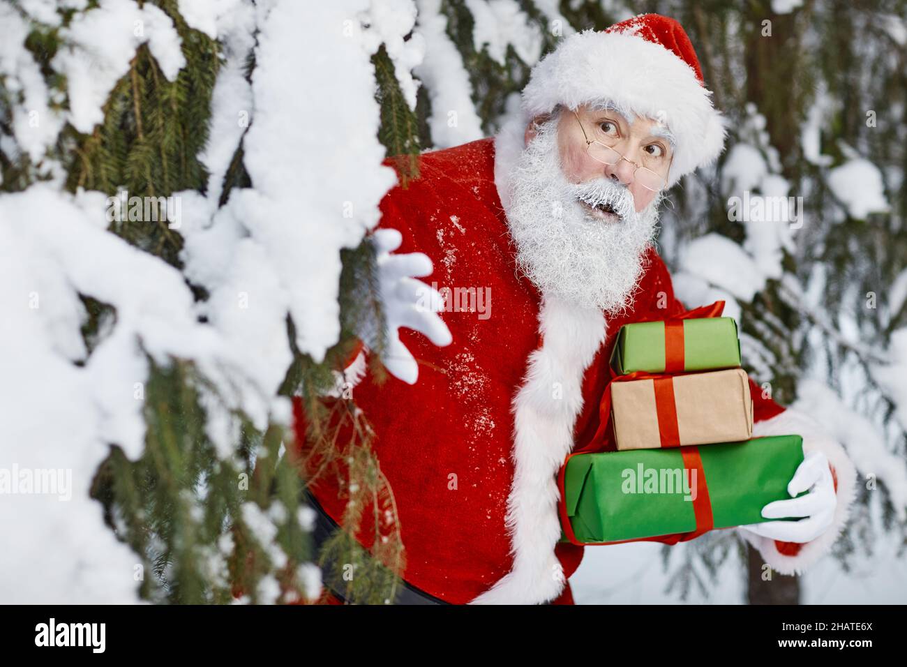 Horizontal waist up shot of Santa Claus walking in winter fir tree ...