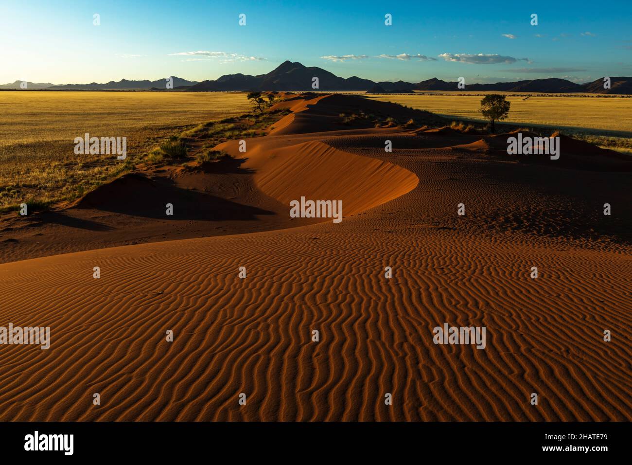 Wind swept patterns in the sand on the dune Namibrand Namibia Stock ...