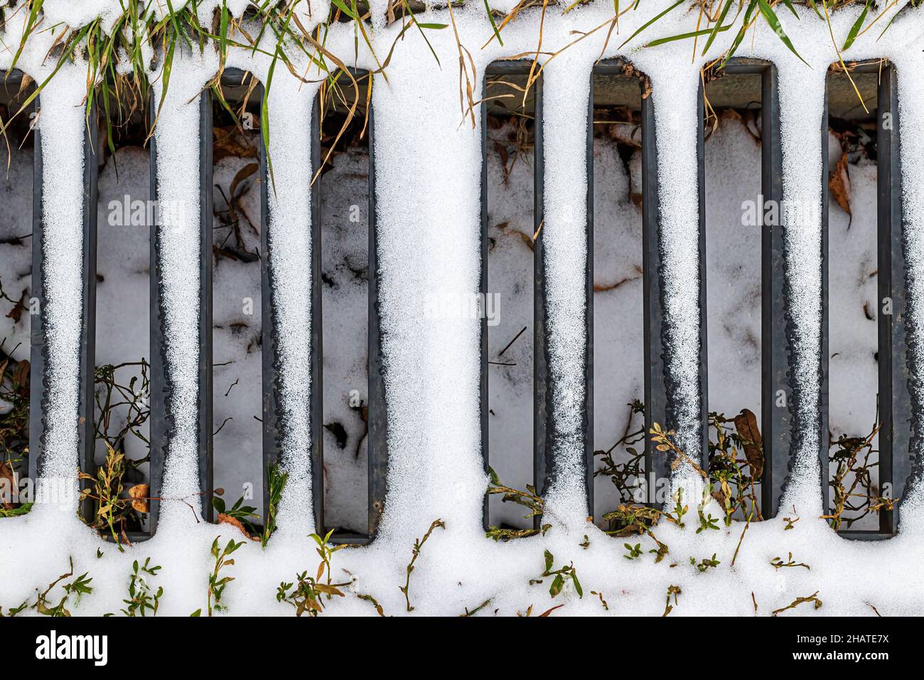 Snow covered metal sewer grate. Winter weather and first snow concept ...