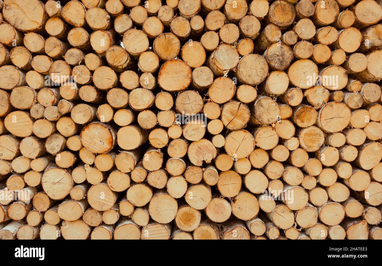 Stack of tree trunks. Texture background wallpaper Stock Photo - Alamy