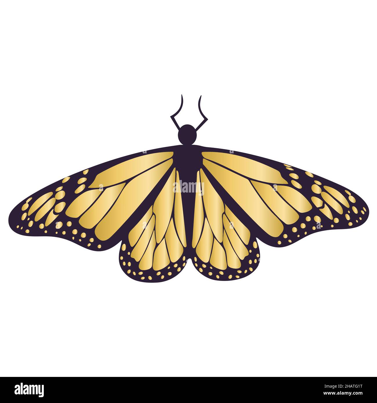 Gold butterfly isolated Stock Vector Image & Art - Alamy
