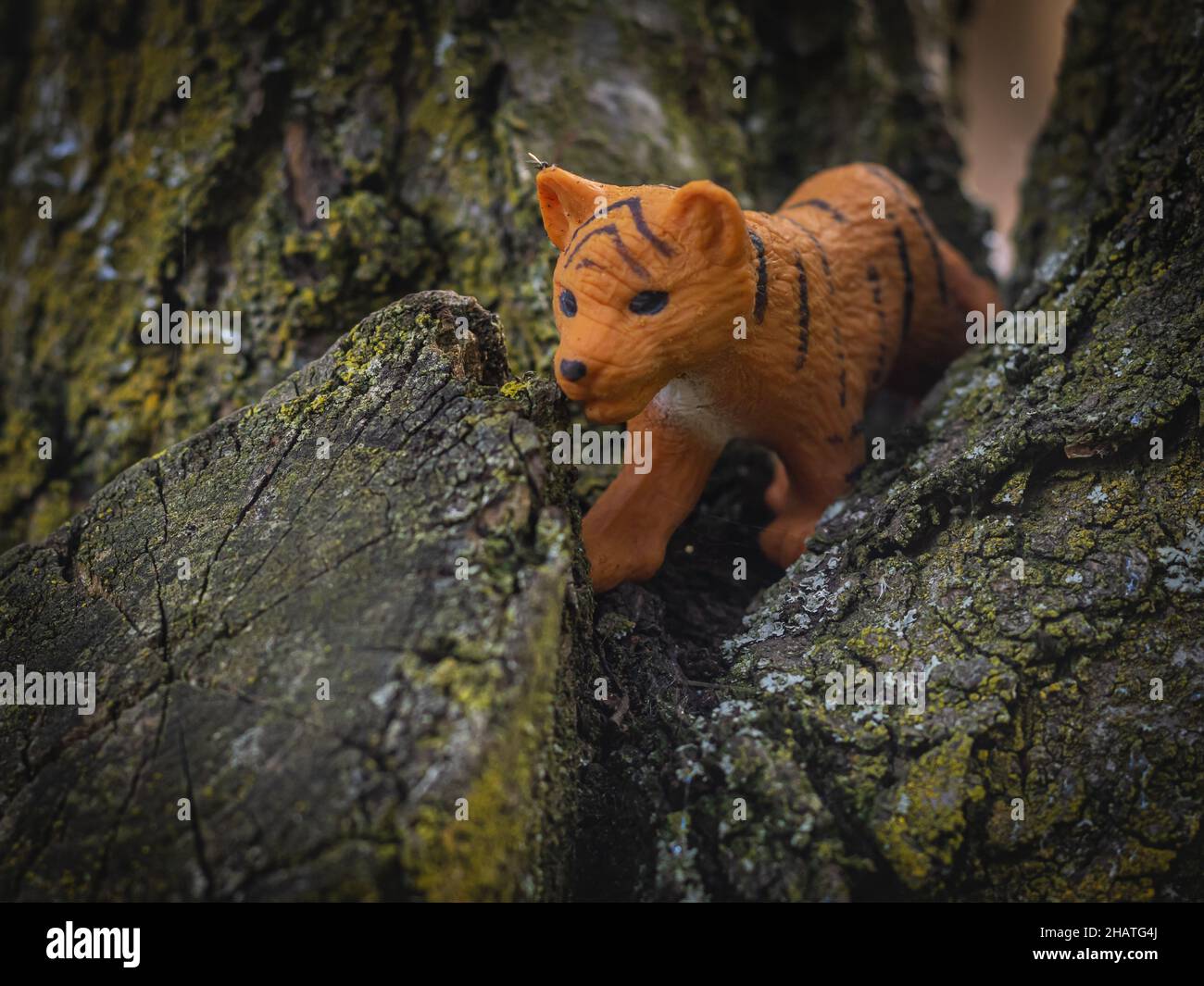 Rubber animal models hi-res stock photography and images - Alamy