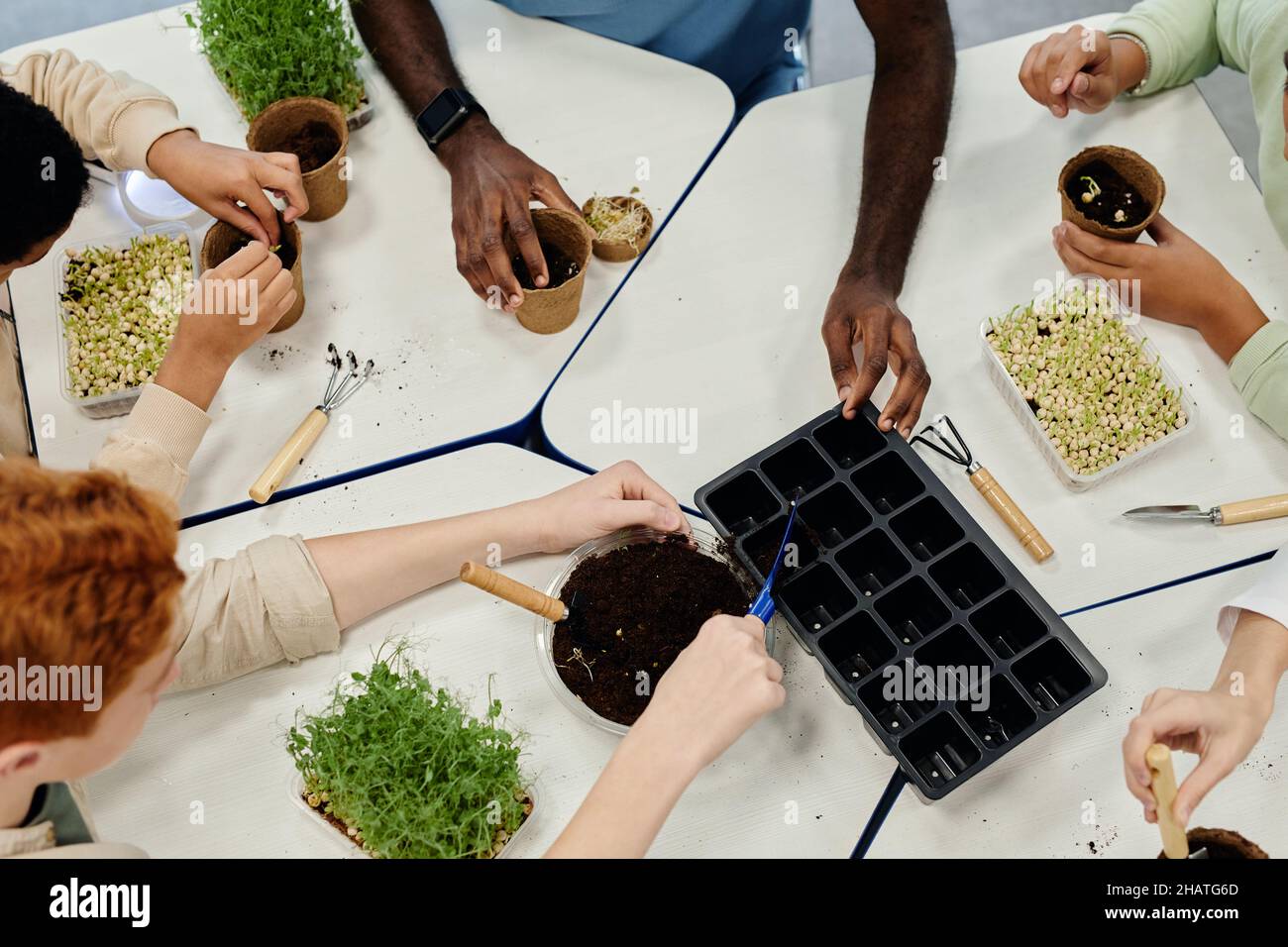 Top view close up of children planting seeds while experimenting at ...