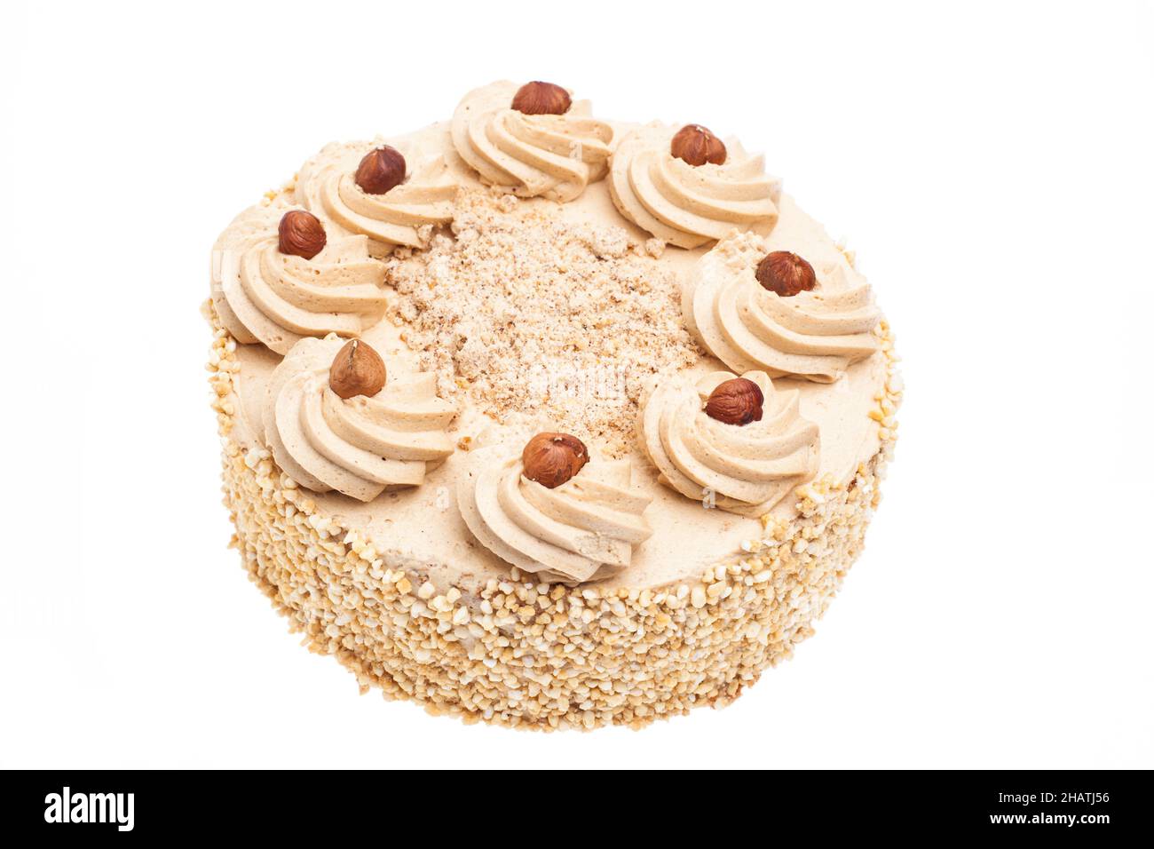 Nut cake, nut cake, cake, hazelnut, nut, background, white, brittle ...