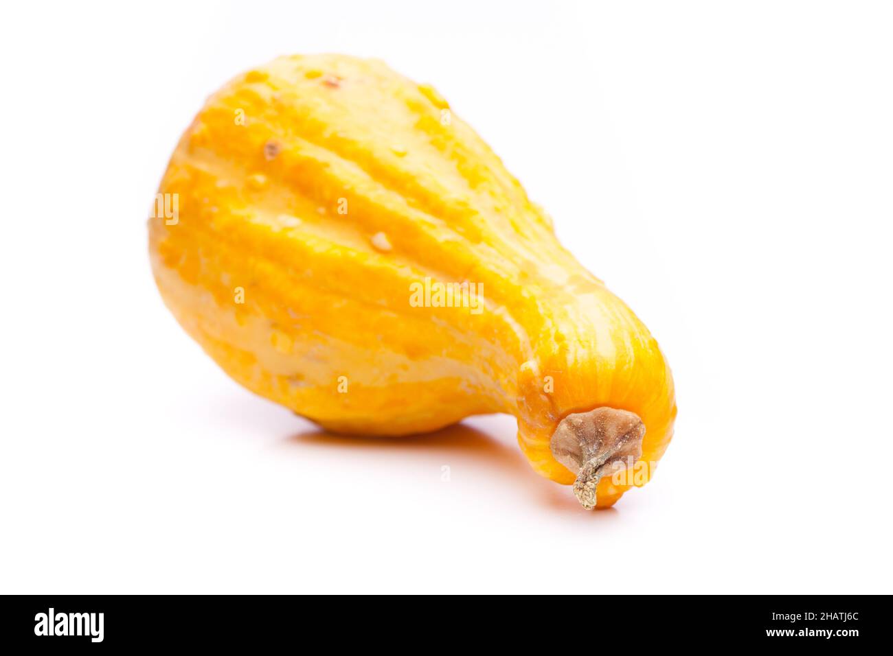 pumpkin, orange, wine tavern, Styria, seed oil, white, Austria ...