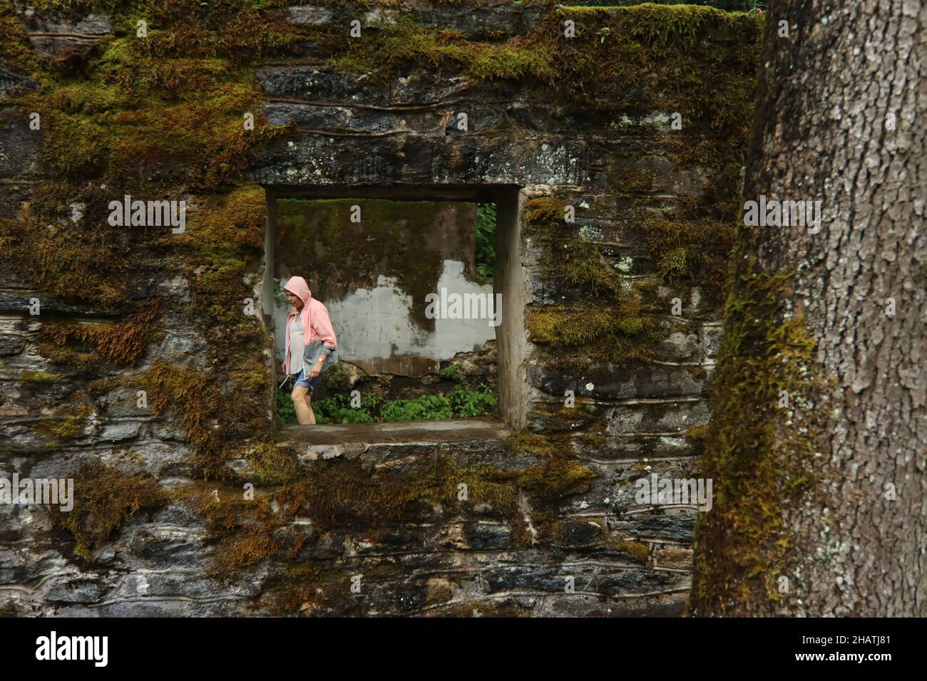 View from the window of an old moldy wooden hut. A woman passing by ...