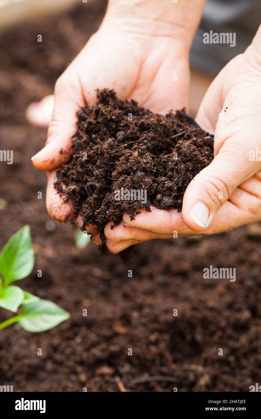 gardening, garden, hand, earth, digging, humus, plant, plants, brown ...