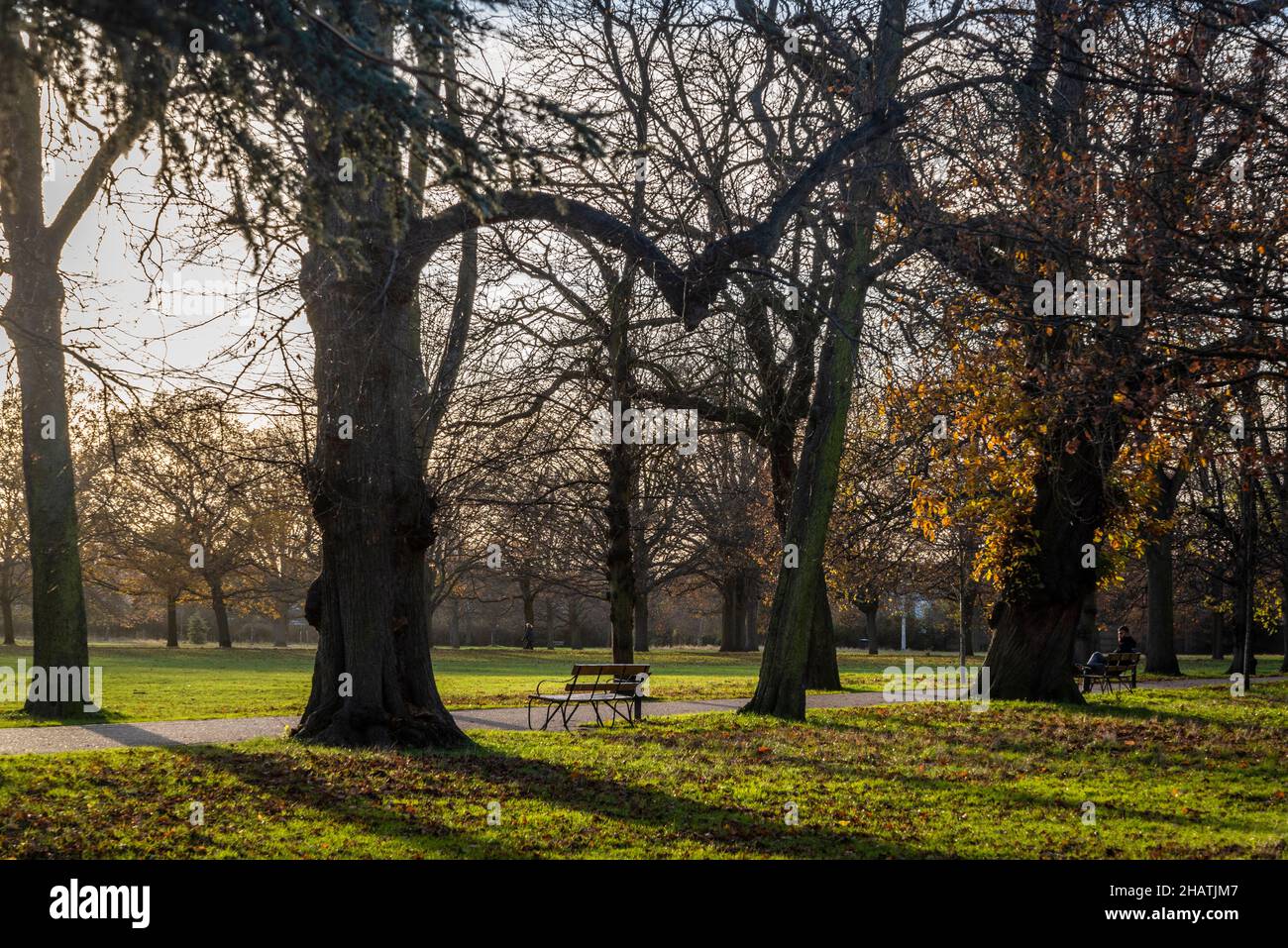 Walpole Park, Ealing, London, England, UK Stock Photo - Alamy