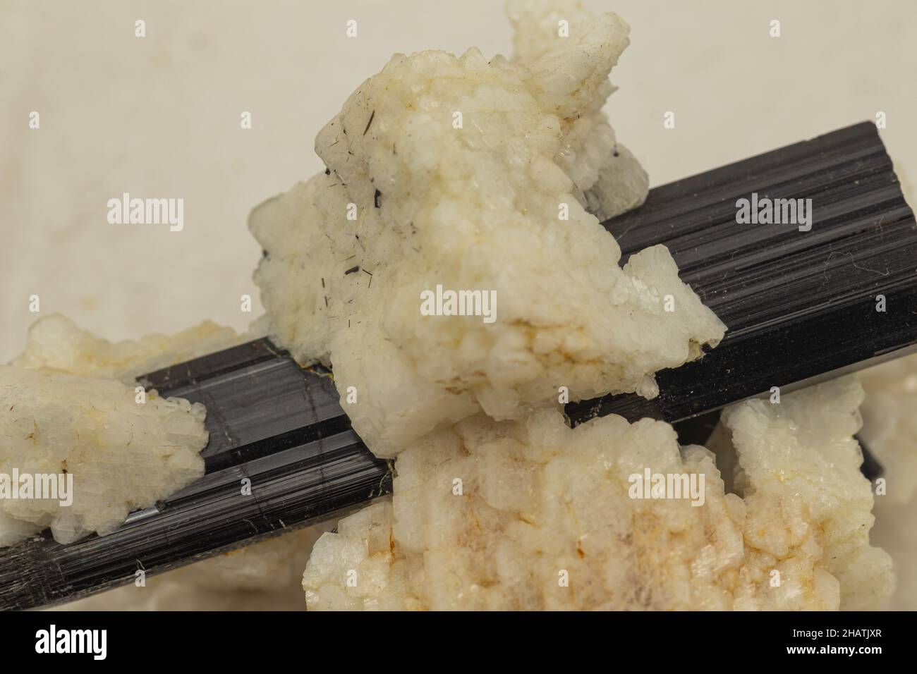 macro image of a collecting mineral sample, black tourmaline Stock ...