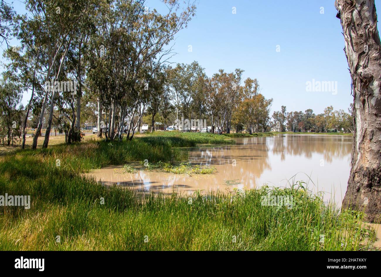 Lagoon lake park tara queensland hi-res stock photography and images ...