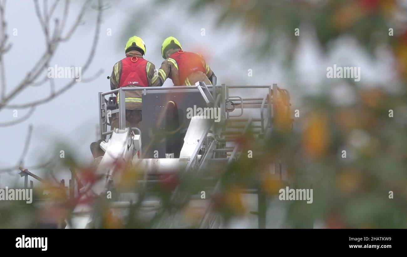 Firefighters at the scene in Grovelands Road, Reading, where one person ...