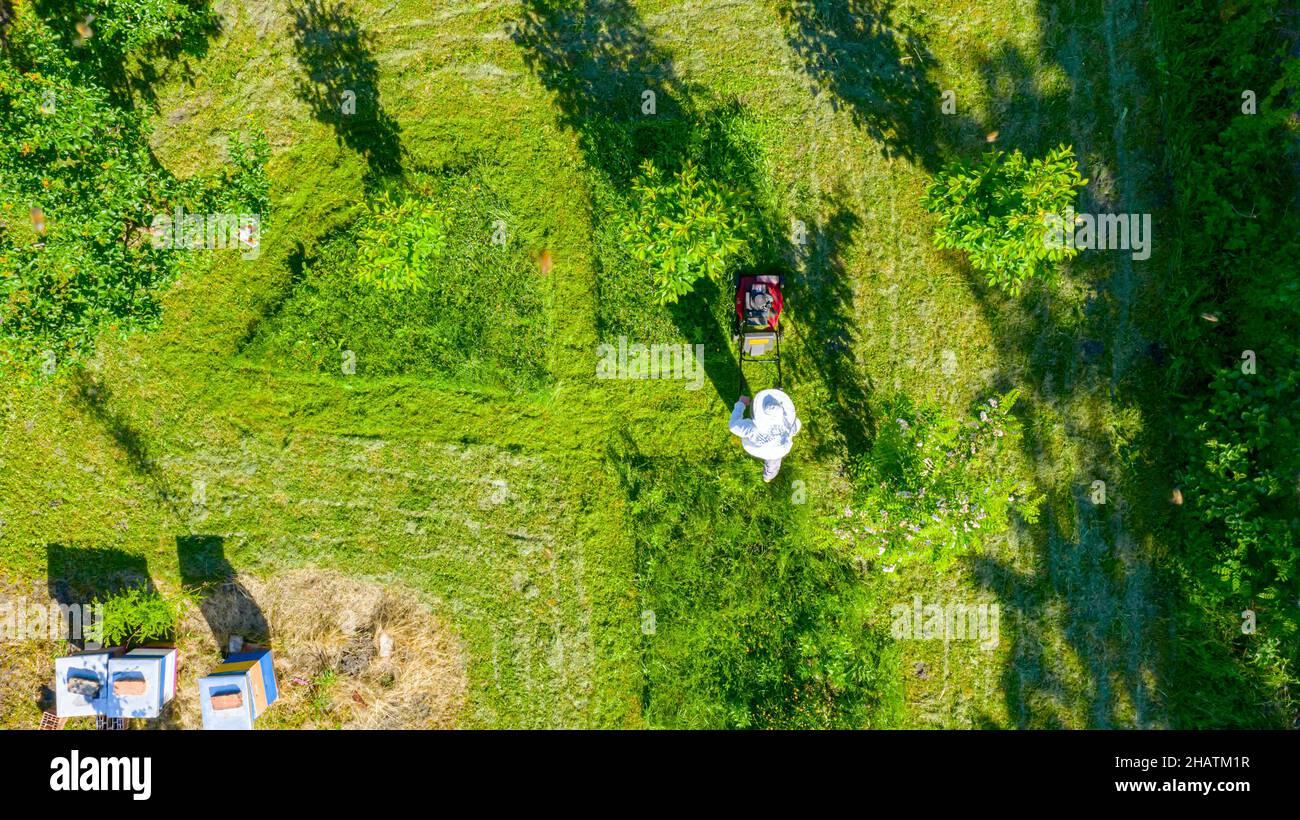 Above top view over beekeeper as cutting grass among beehives arranged ...