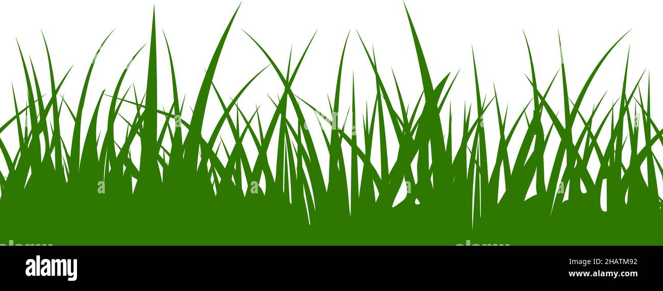 Grass banner. Seamless border design. Natural lawn plant Stock Vector ...
