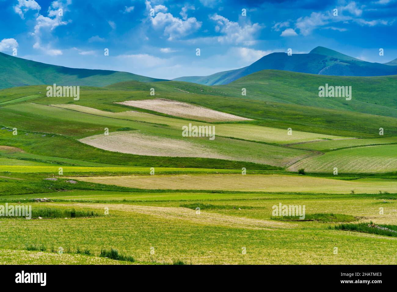 Piano Grande di Castelluccio di Norcia, Perugia province, Umbria, Italy ...