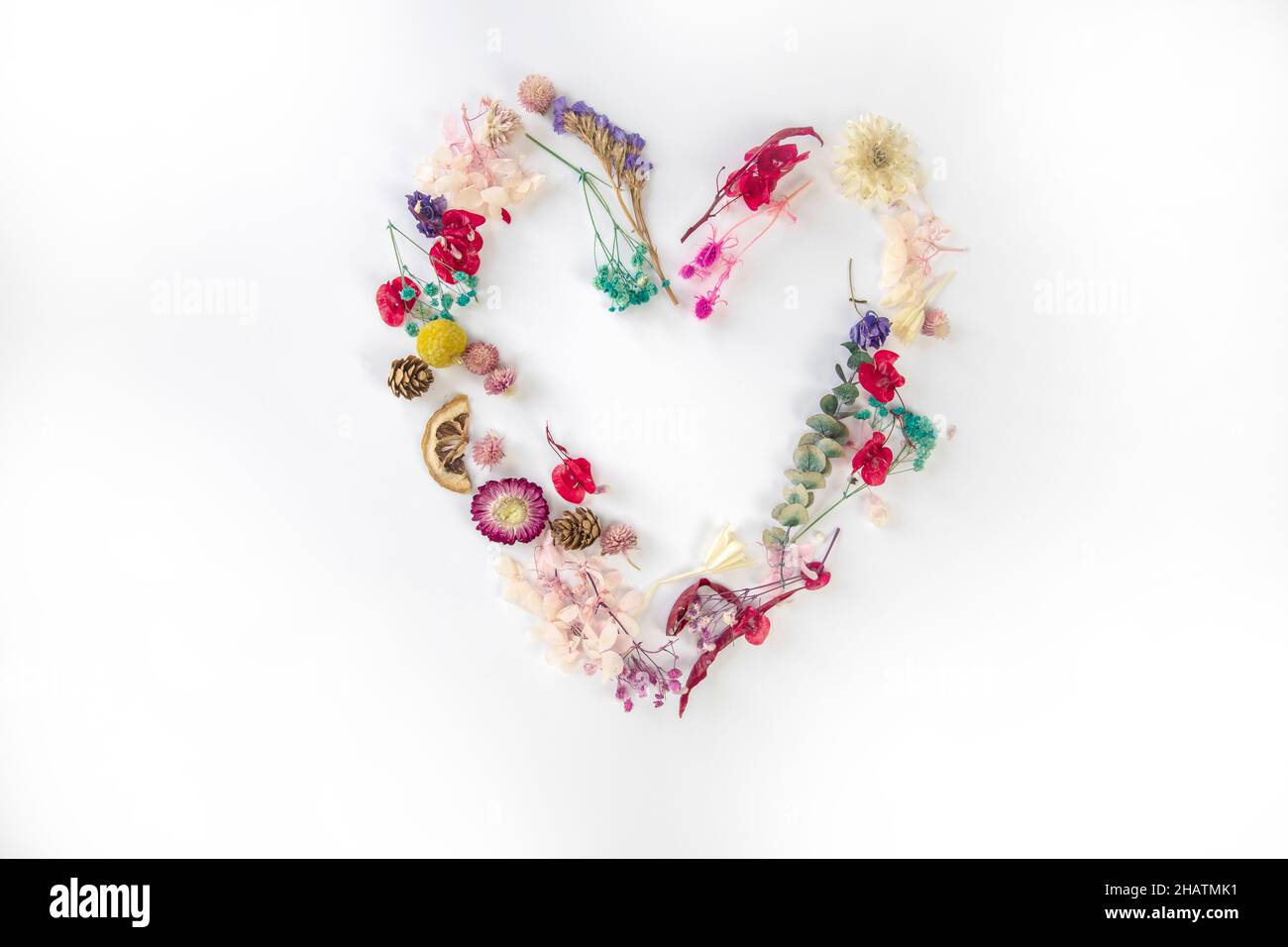 fresh colorful spring flowers in shape of heart isolated on white ...