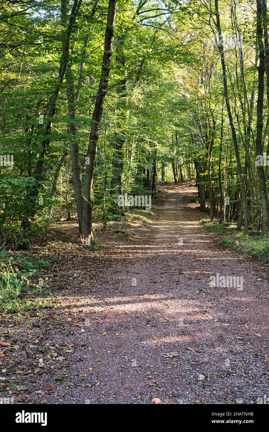 Run through the fields hi-res stock photography and images - Alamy