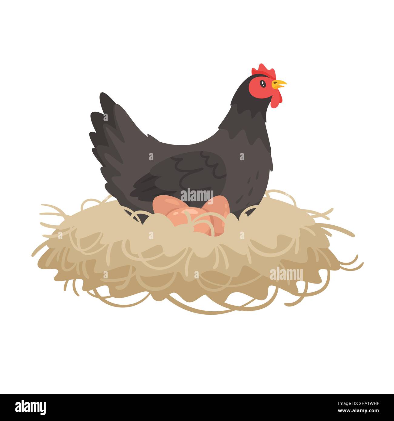 Hen Egg Nest Stock Vector Images - Alamy