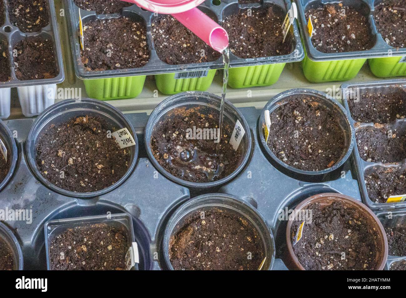 Closeup of pots filled with soil for planting flowers and plants Stock ...
