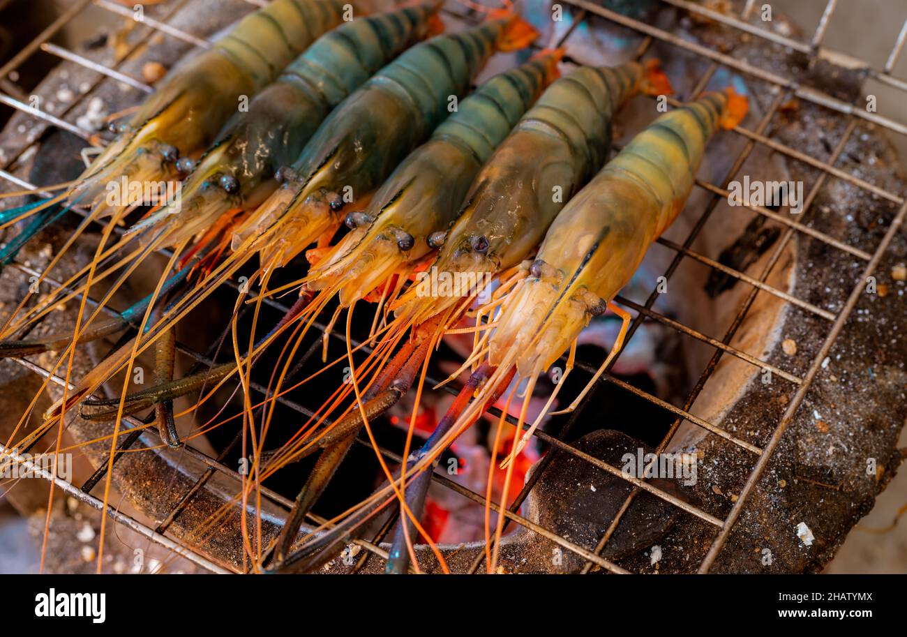 Grilled prawn on charcoal grill. Giant freshwater prawns grill on a ...