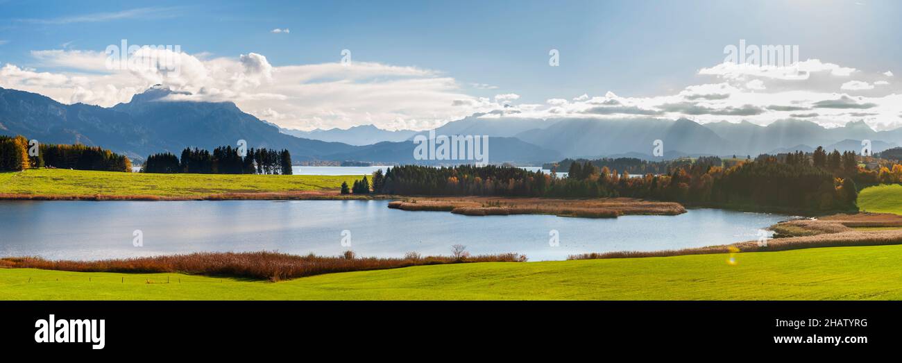 panoramic view to alps mountain range and lake Forggensee in Bavaria ...