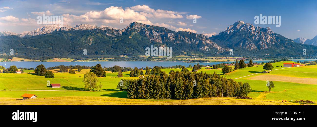 panoramic view to alps mountain range and lake Forggensee in Bavaria ...
