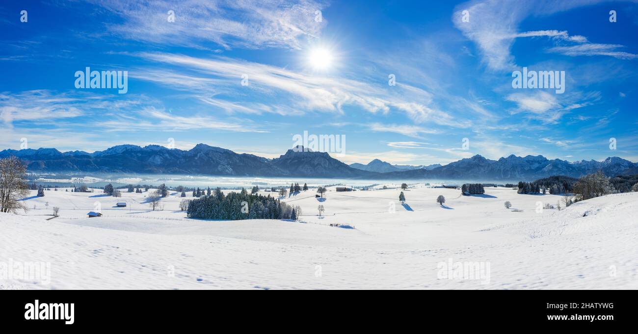 panoramic view to alps mountain range and lake Forggensee in Bavaria ...
