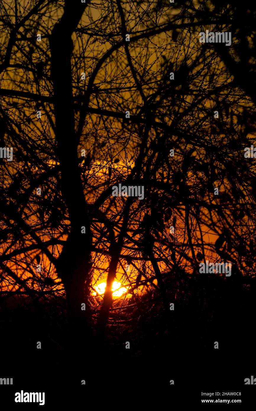 Day without sun hi-res stock photography and images - Alamy