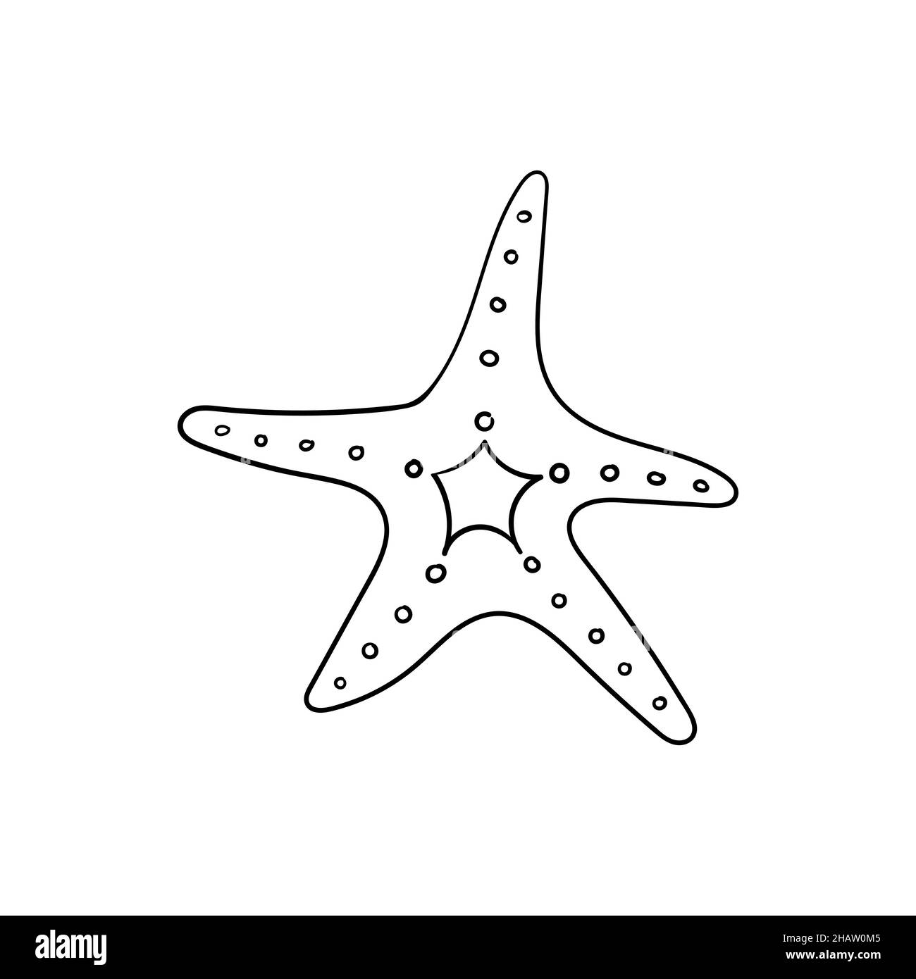Starfish Pencil Drawing