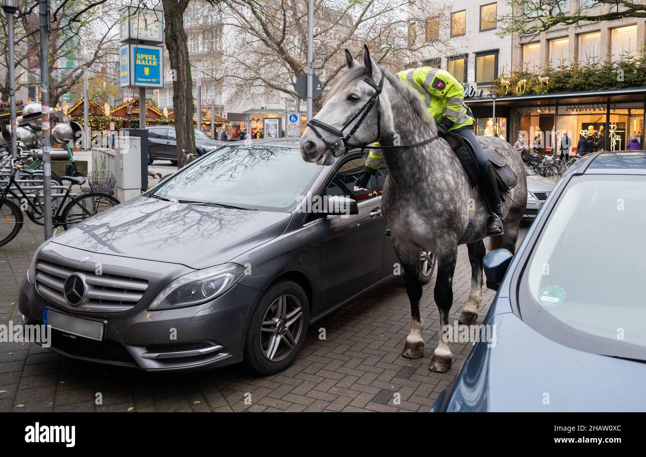 Hanover, Germany. 15th Dec, 2021. A policeman of the riding squad of ...