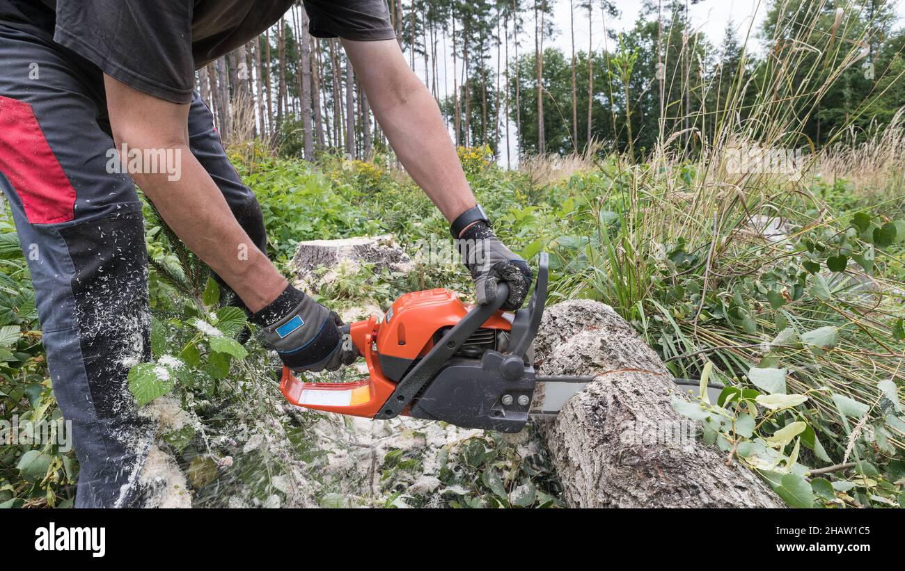Lumberjack working with power chain saw at cutting wooden log. Forest ...